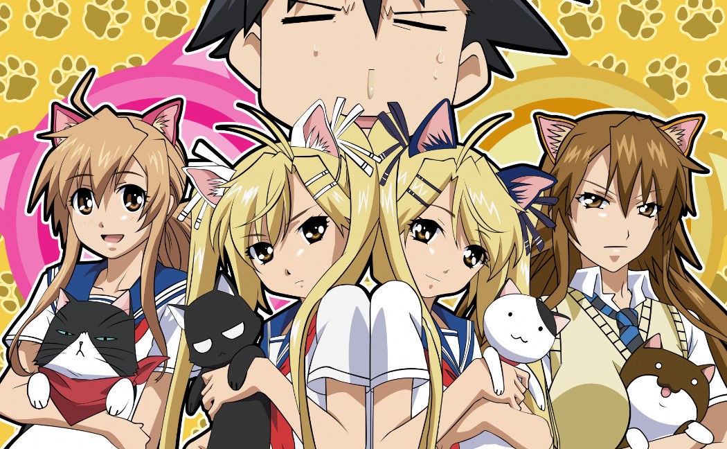 Anime de gatos: 10 títulos perfeitos para os amantes de gatos!